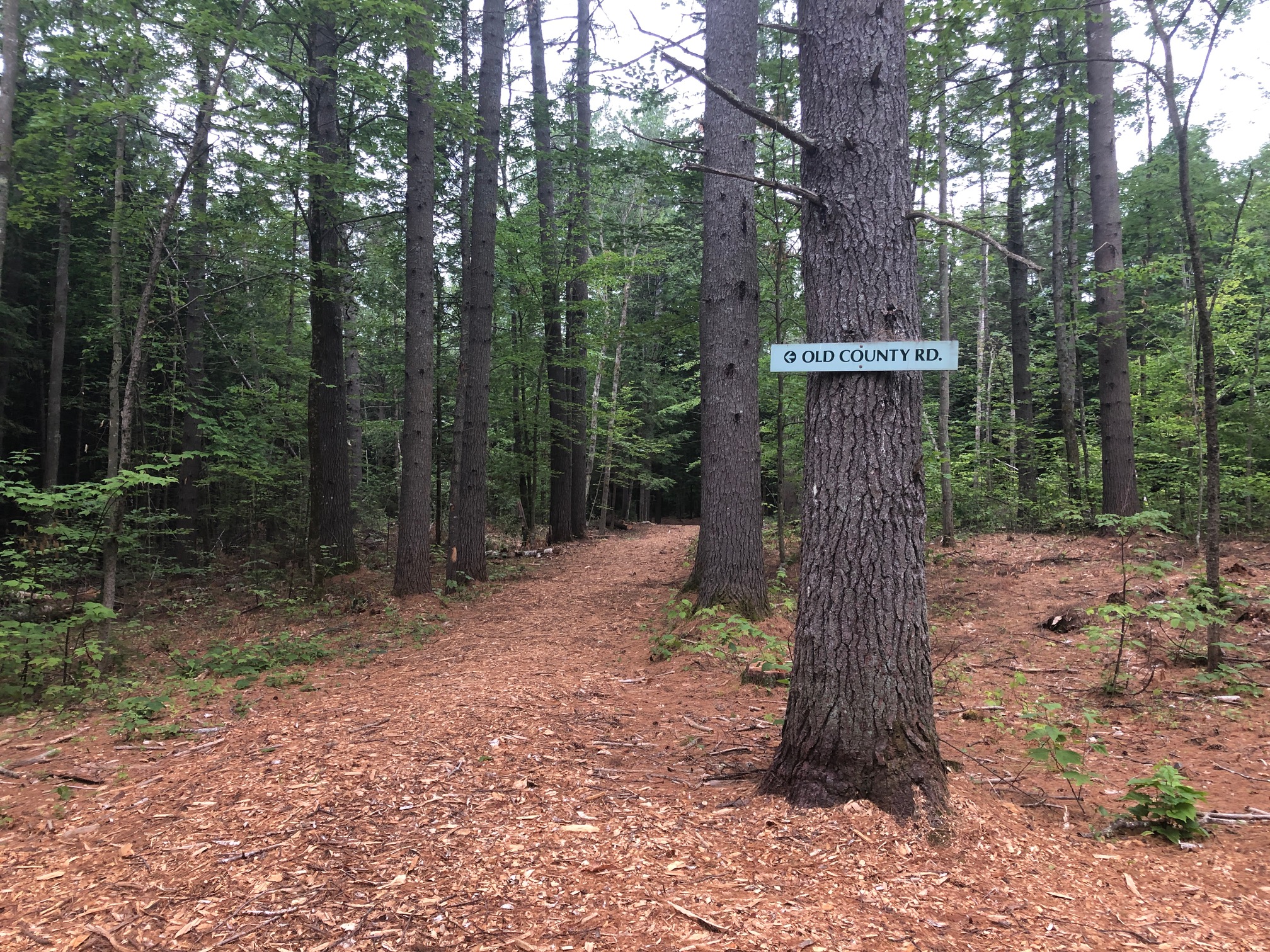 Powder House Hill Trails